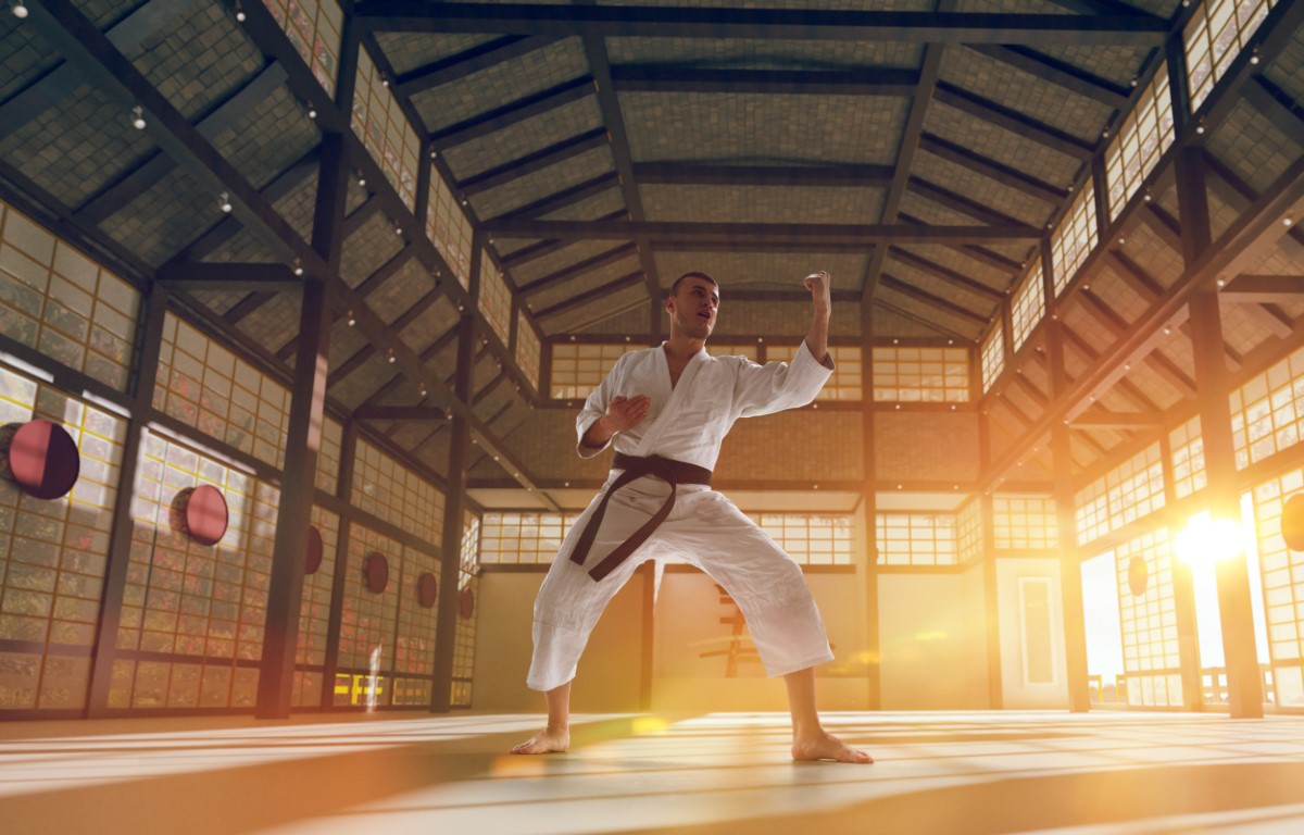 Aiki Jujutsu: Test Your Martial Arts Knowledge! | Everything Sports